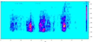 EVP - things you should know