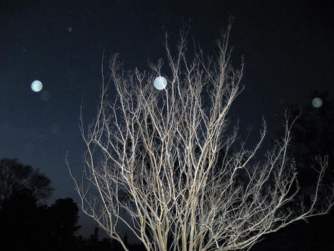 Orbs - Reasons to believe